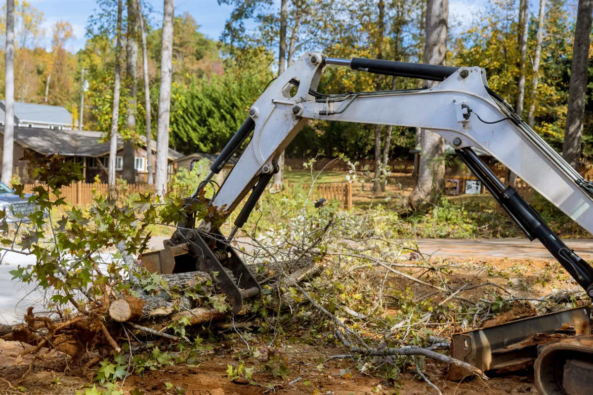 Emergency Tree Removal: Responding To Storm Damage and Hazardous ...