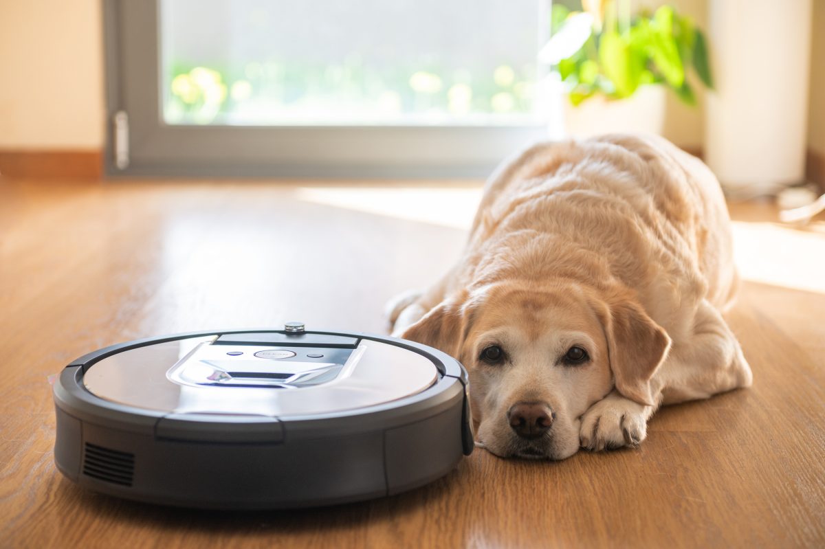 Design And Features Of Robot Vacuums: What Sets Ecovacs Apart? - Urban ...