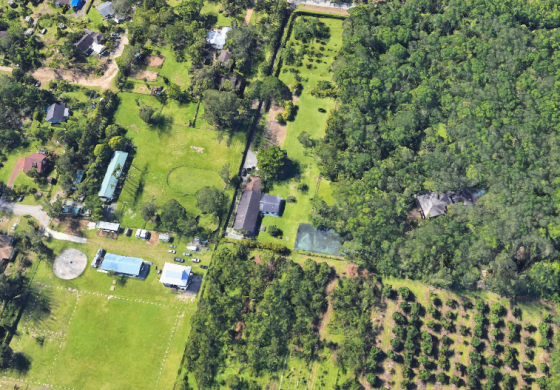 Matt Drudge House: The Miami Mansion - Urban Splatter