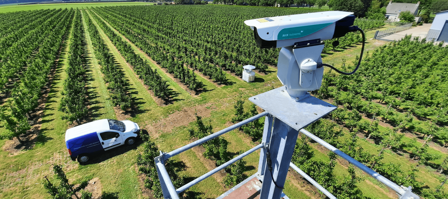 Effective Bird Control Strategies for Protecting Large Agricultural ...