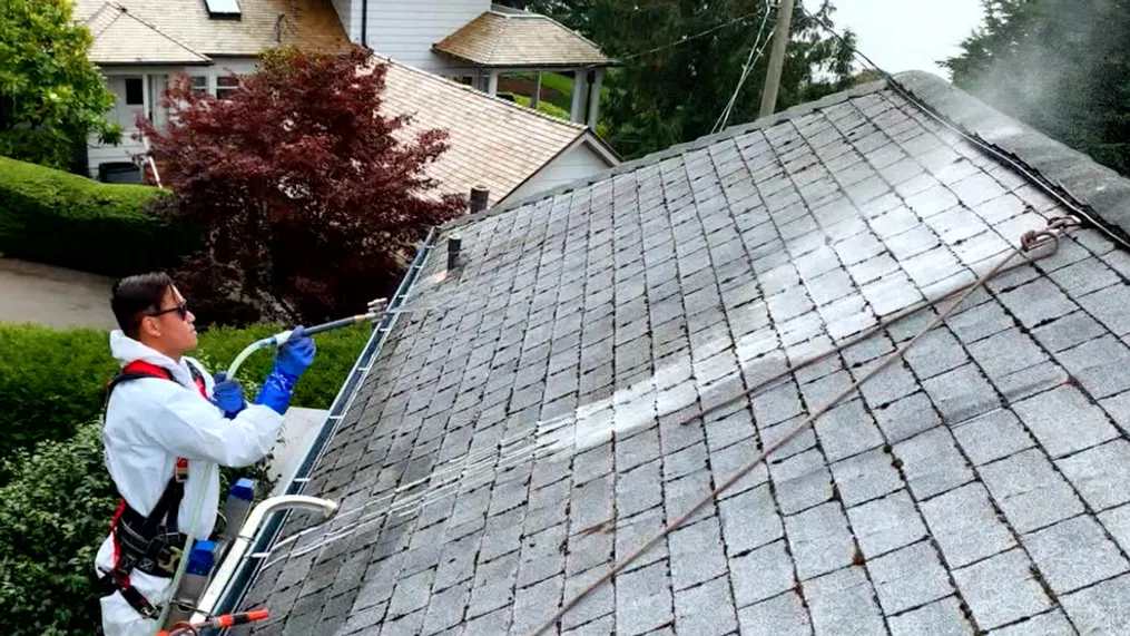 Protect Your Home with Expert Roof Cleaning Solutions - Urban Splatter