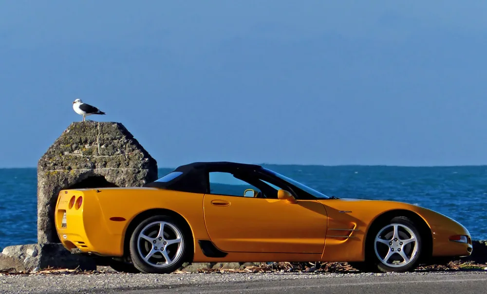 Reggie Jackson Car Collection: Ultimate Showcase - Urban Splatter