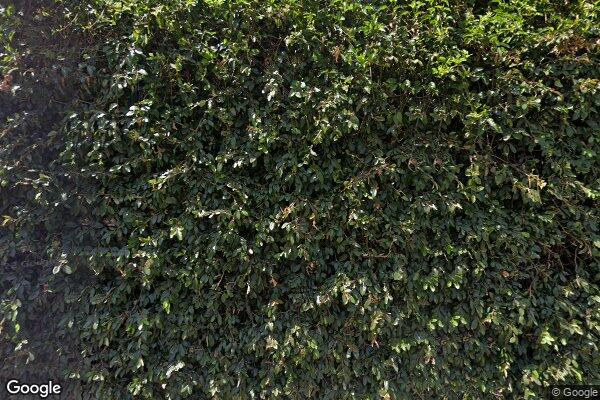 Alan Isaacman House: The Beverly Hills Legal Haven - Urban Splatter