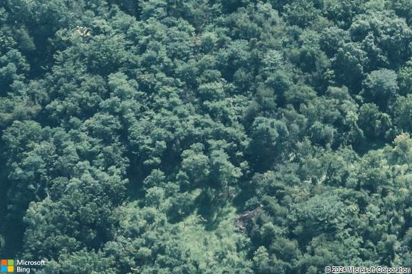 Chad Henne House: The Sinking Spring Sanctuary - Urban Splatter