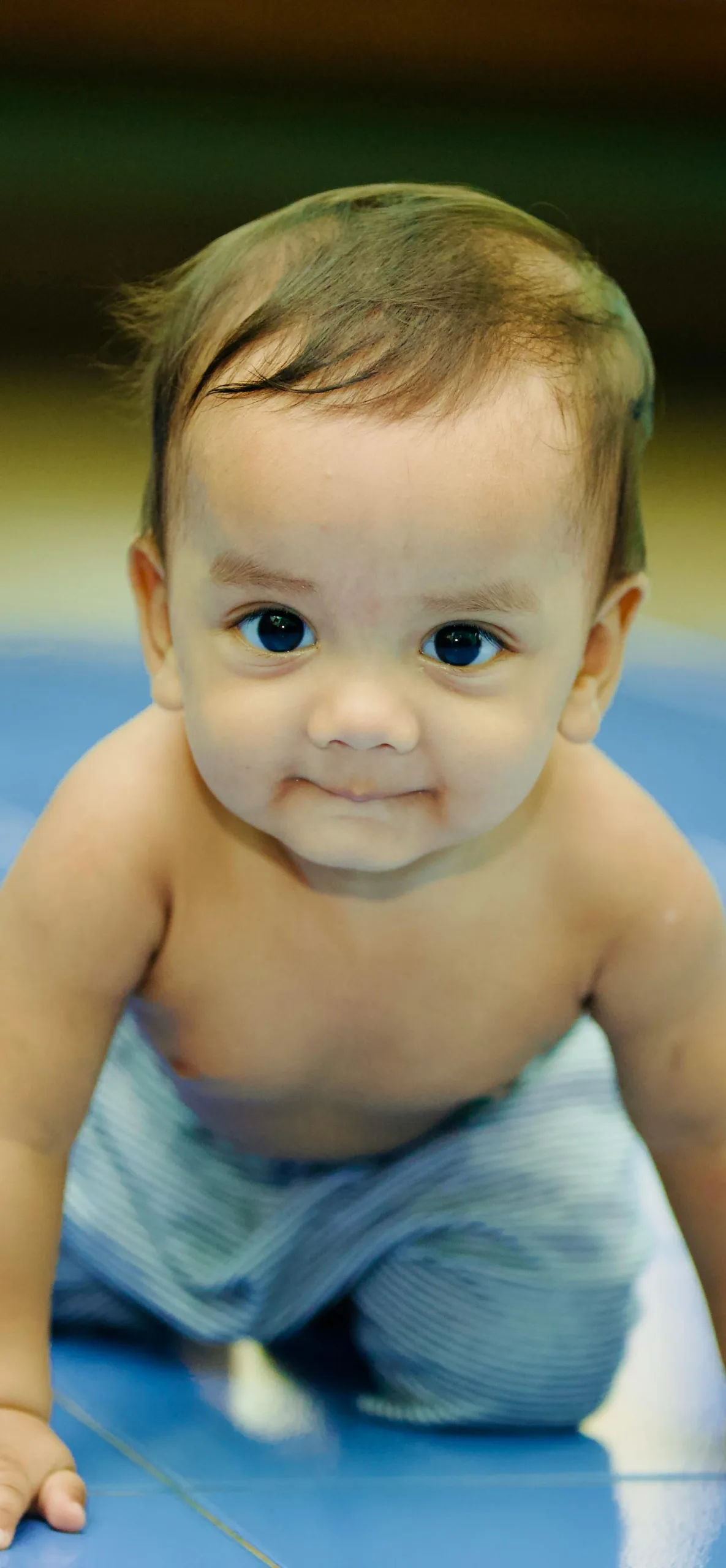 Why is SPC Flooring the Perfect Choice for Modern Homes? - Urban Splatter