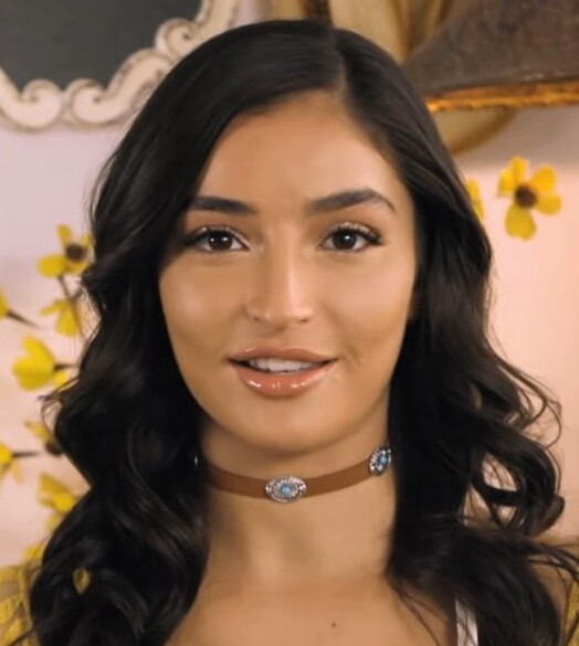 Emily Willis Net Worth: Fame, Challenges, and Success - Urban Splatter