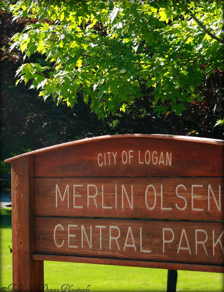 Merlin Olsen Net Worth: Legacy of a Football Legend - Urban Splatter