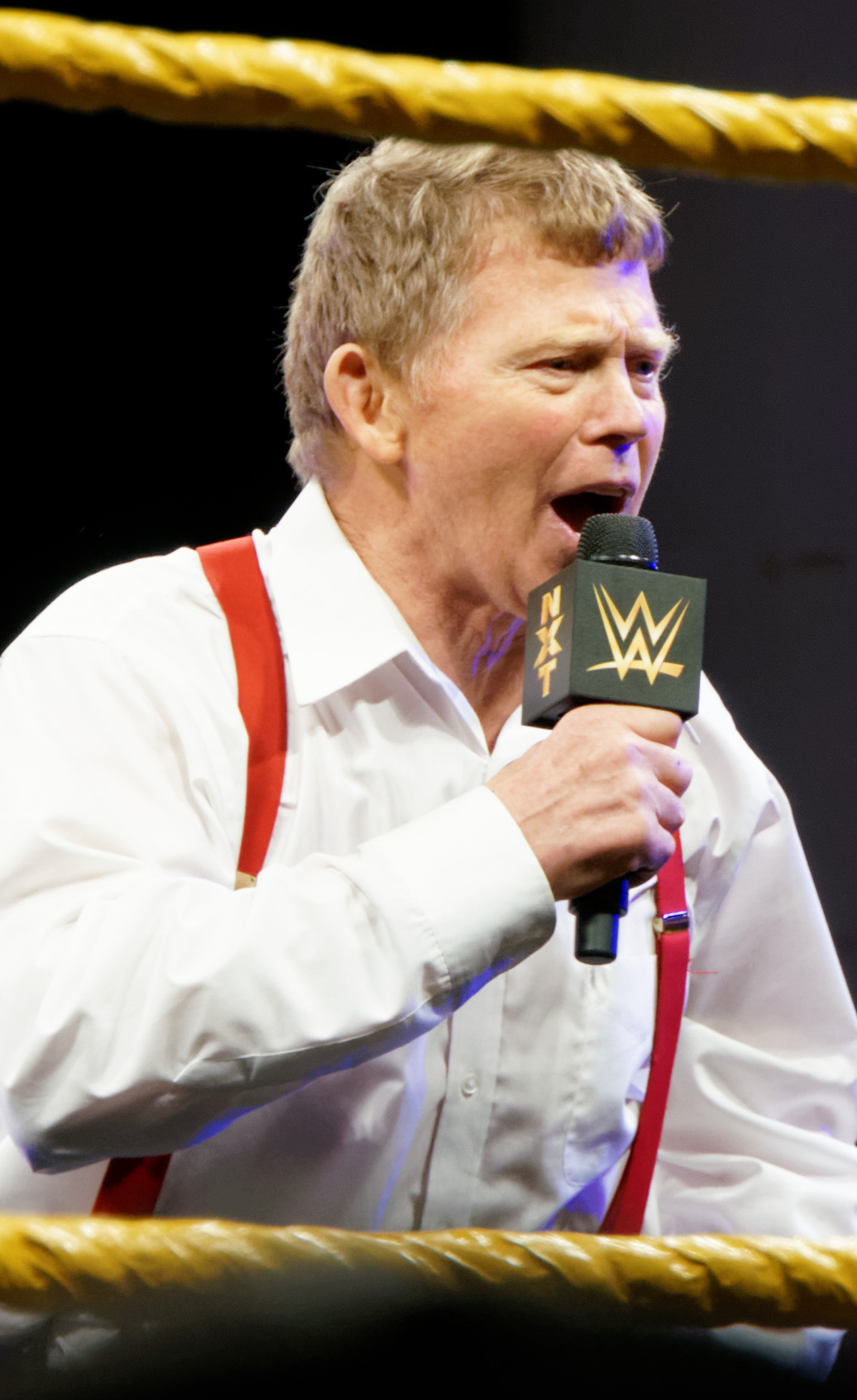Bob Backlund Net Worth: Wrestling Legacy and Financial Success - Urban ...