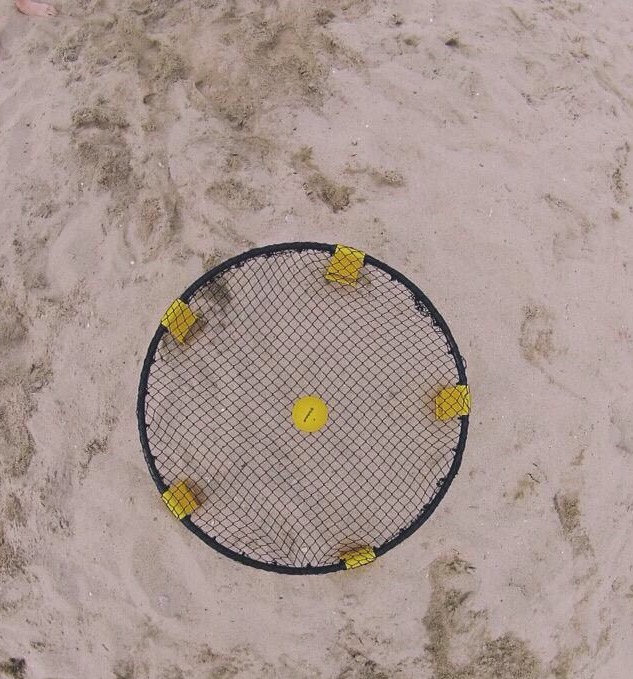 Spike Ball Net Worth: From Backyard Game to $500M Phenomenon - Urban ...