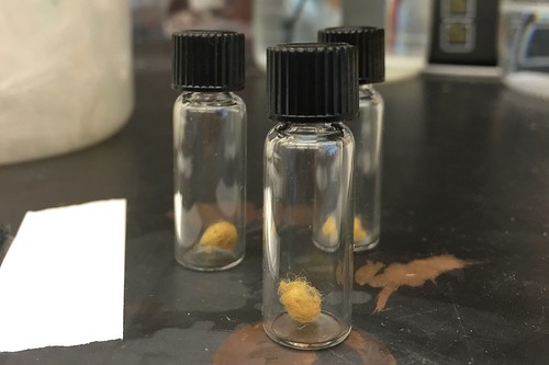 Joe Davis Net Worth: Inside His Lucrative FOX Contract - Urban Splatter