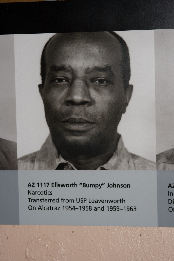Bumpy Johnson Net Worth: A Kingpin's Hidden Fortune - Urban Splatter